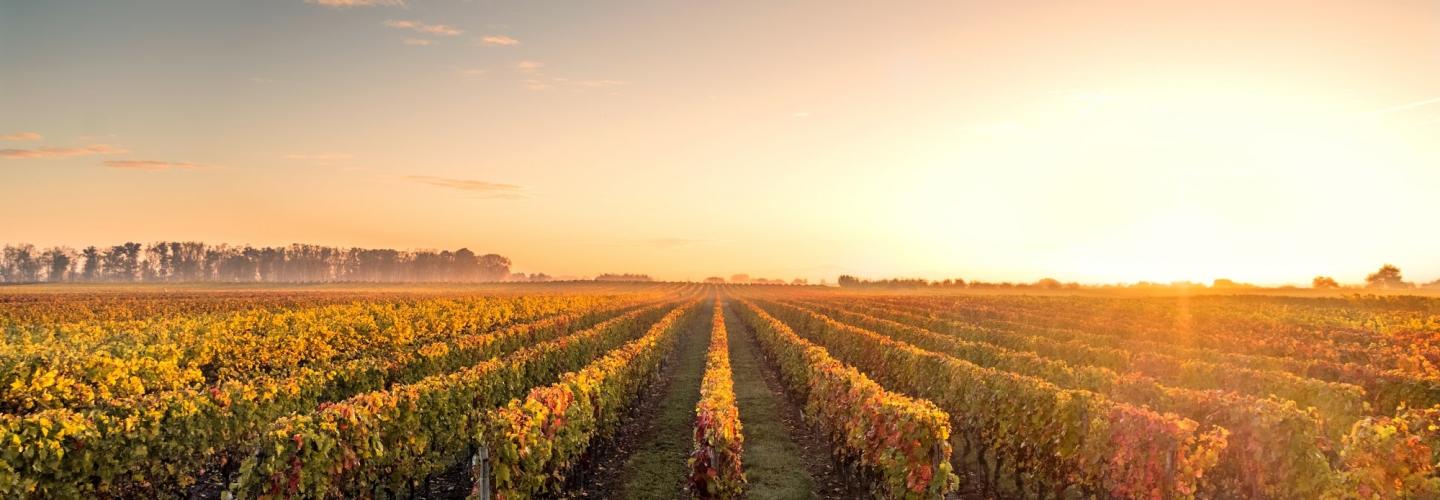 Stan's World - Sound Familiar? | S.F. Ehrlich Associates, Inc.